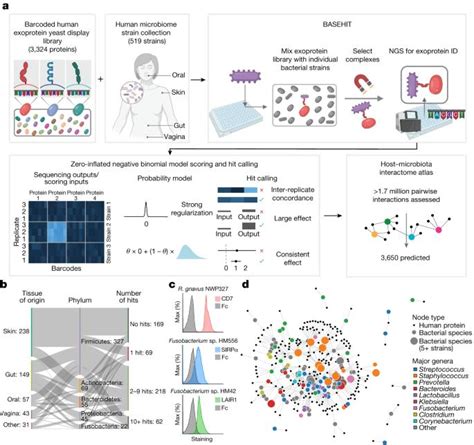 A Hostmicrobiota Interactome Reveals Extensive Transkingdom Connectivity Eveliina Munukka