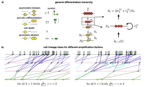minimal generic model of hierarchically differentiating tissues and