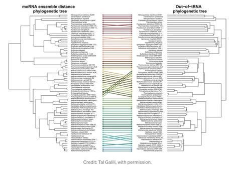 Rami Krispin On Linkedin Rstats Datascience Machinelearning