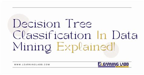 Decision Tree Classification In Data Mining Explained Importance