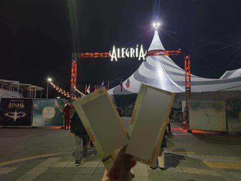 태양의서커스 뉴 알레그리아 후기 🎪 Feat B석 왕만족 연말 추천 공연 네이버 블로그