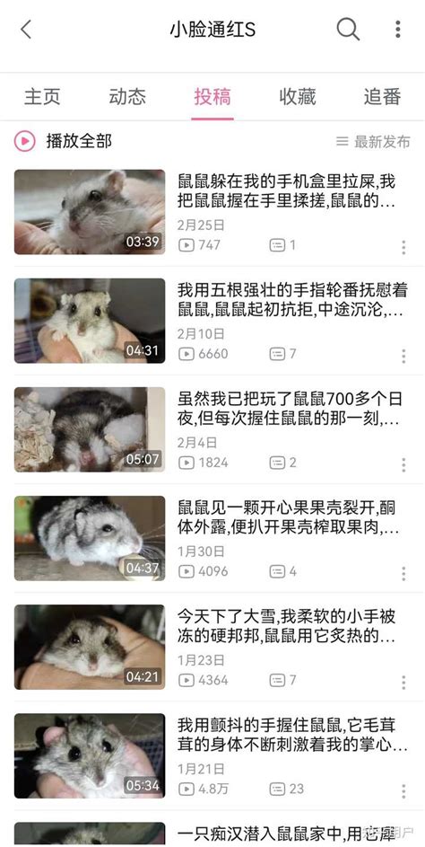你在b站上见过哪些「极度抽象」的up主？ 知乎