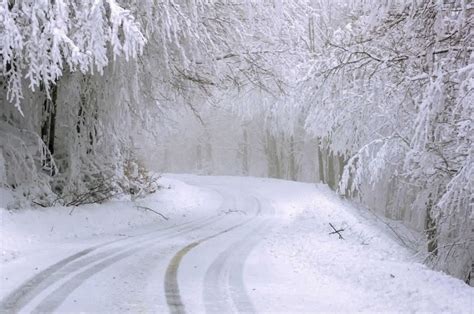 ვერონა თელავის გზის მონაკვეთზე მაღალი გამავლობის ავტოტრანსპორტის მოძრაობა აღდგა Knews Ge