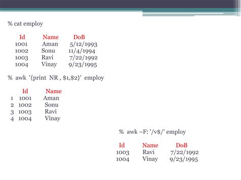 Presentation Of Awk Pptx Programming Languages Computing