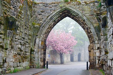 꽃이 만발한 나무가 있는 역사적인 석조 아치 · 무료 스톡 사진