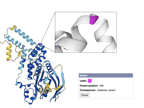 Tutorial Display Variants On Alphafold Predicted 3d Protein Structures