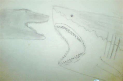 My Drawing Of Megalodon Vs Mosasaurus R Sharks