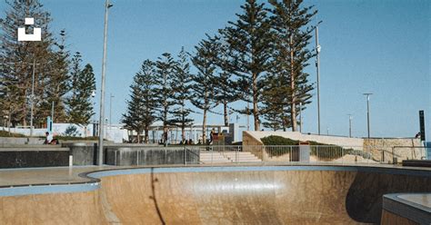 나무가있는 스케이트 공원 사진 Unsplash의 무료 사람의 이미지