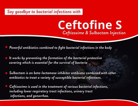 Buy Ceftizoxime Sulbactam Injection Ceftofine S Best Product