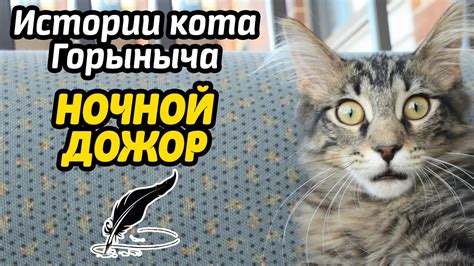 Ночной дожор - YouTube