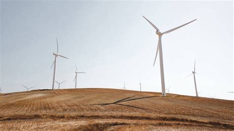 Msme Zed Certification Scheme Zero Defect Zero Effect Article