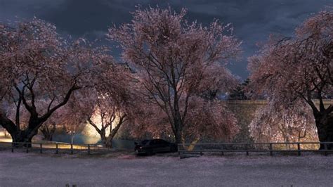 Forza Horizon 6 Wont Let You Destroy Cherry Blossom Trees And For