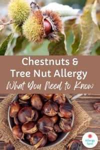 Chestnuts And Tree Nut Allergy What You Need To Know