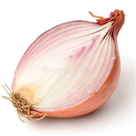 Shallot Isolated On White Background Stock Illustration Illustration