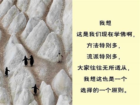 31五戒十善是修行成就的基础 Youtube
