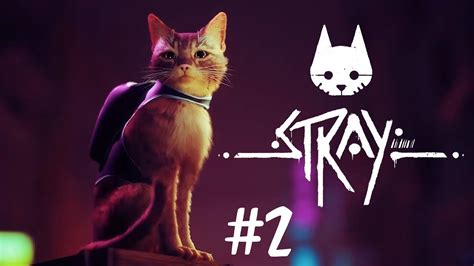 Кот хакер и новый друг Stray 2 Youtube