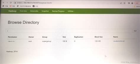 Hadoop Java Api和io文件操作hadoop集群环境中，利用java Api 实现对hadoop的文件操作 Csdn博客