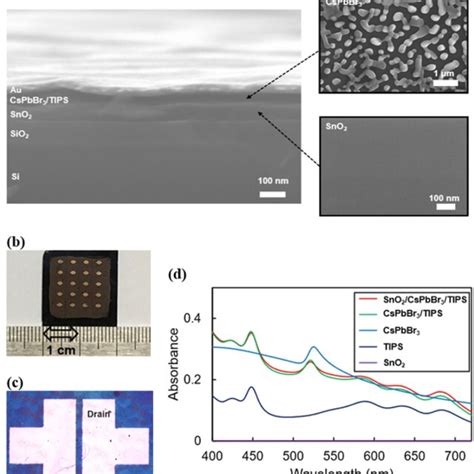 A Schematic Image Of Biological Synapse And Our Photonic Synaptic Download Scientific Diagram