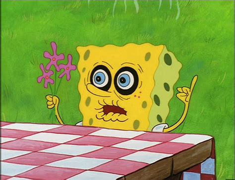 Spongebob Squarepants Dried Up