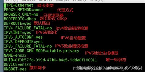 Linux Net模式下ens33无inet地址解决方案linux网卡在但是inet没有 Csdn博客