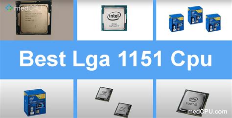 Best Lga Cpu Top Brands Review