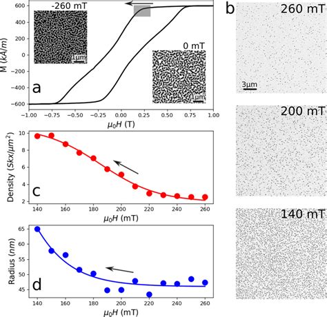 Hysteresis Loop Measured By Superconducting Quantum Interference Download Scientific Diagram