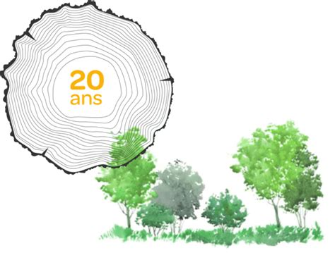 Elsan The Premier Provider Of Private Healthcare In France