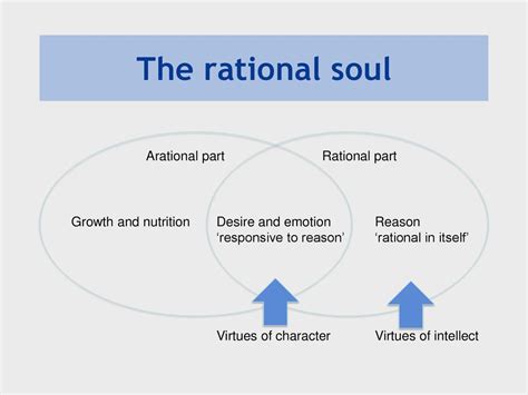 Aristotles Function Argument Ppt Download
