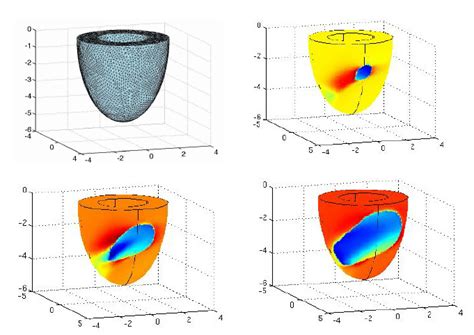 1 Truncated Ellipsoid Modeling The Left Ventricle Starting Mesh