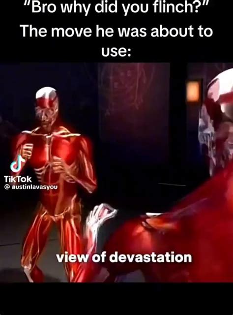 Bro Why Did You Flinch The Move He Was About To Use Tik Tok Austinlavasyou View Of