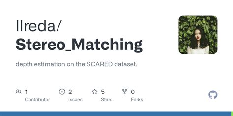 github llreda stereo matching depth estimation on the scared dataset