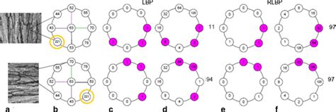 Effect Of Rotation On The Lbp And The Rlbp Operator Download Scientific Diagram