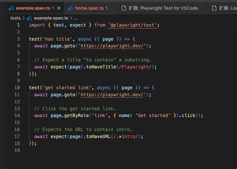 BUG Playwright Run Error Delete My All Files Issue 22352