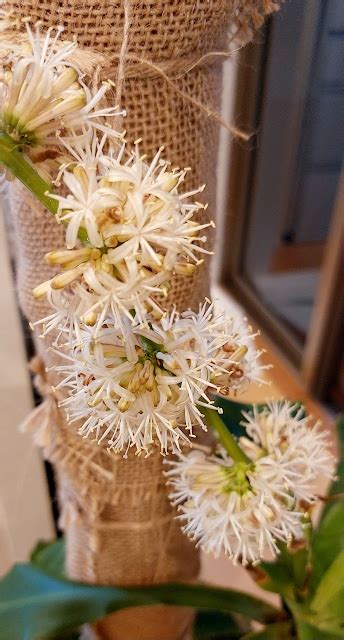 Timeout Not Good Enough For The Photography Forum