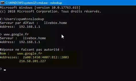 Nslookup Et Dig Client Dns Pour Windows Et Linux