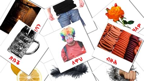 1300 Free Tigrigna Eritrea Flashcards Pdf Picture Vocabulary