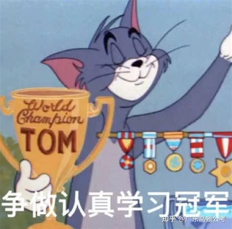 国考申论考什么 国考申论题型分布是怎样的 国考申论出题规律拿捏了 知乎