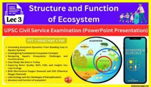 Structure And Function Of Ecosystem PPT SlideSharePPT