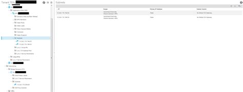 ACI Route Leaking Host Addresses Haystack Networks