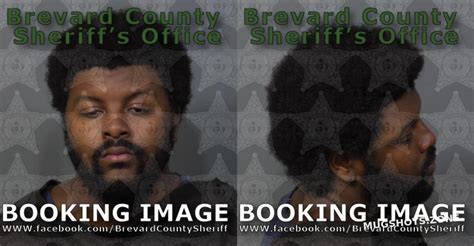 Brothers Sema J De Andre 04232025 Brevard County Mugshots Zone