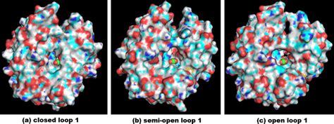 The Alignment Of The Experimental Structure Of Co 2 Bound Hca Ii Pdb