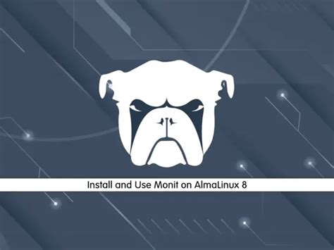 Install And Use Monit On AlmaLinux 8 Step By Step OrcaCore