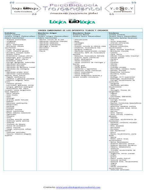 Origen Embrionario Pdf Tracto Gastrointestinal Membrana Mucosa