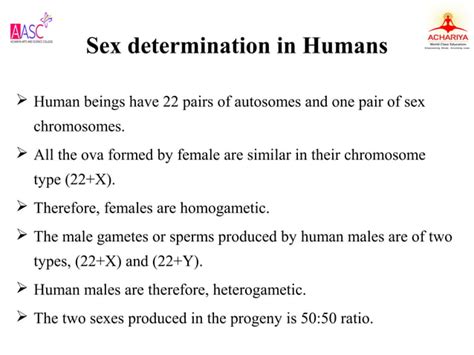 Chromosomal Theory Of Inheritance Ppt Genetics Science