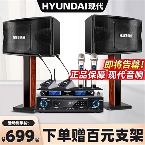 现代家庭ktv音响套装全套点歌机家用会议舞蹈室卡拉ok影院音箱虎窝淘