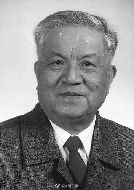 土木工程与结构力学专家 中国工程院院士龙驭球逝世 原理 设计 教材