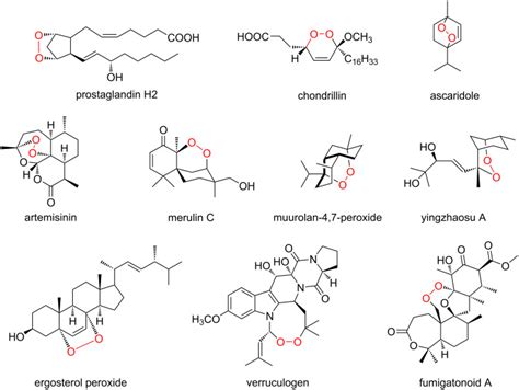 Structural Basis For Endoperoxide Forming Oxygenases Pmc