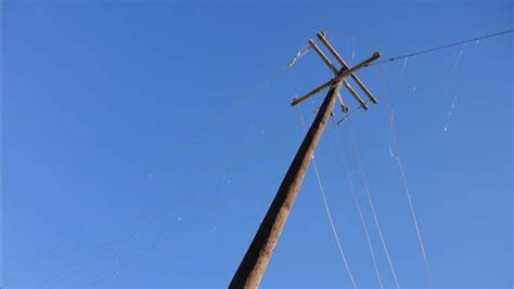 Charlottes Web Ballooning Spiders