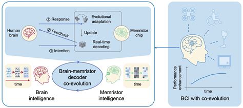 智能医学工程 天津大学医学院