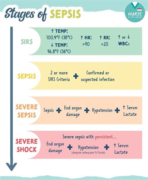 Urinary Catheter Types Artofit